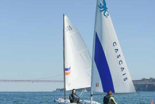 Laser Sailing boats